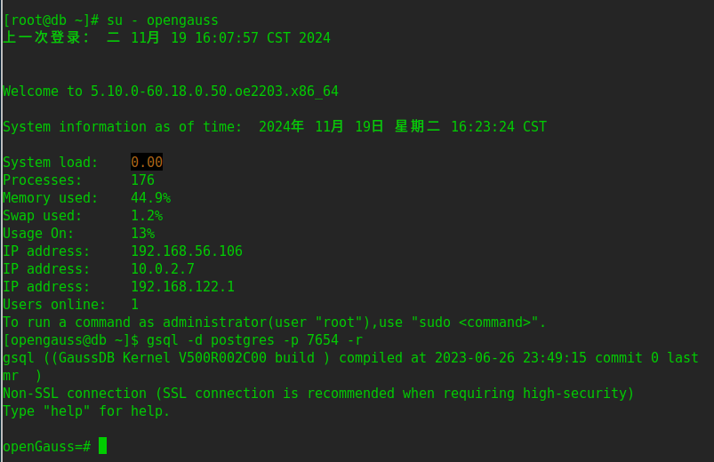 opengauss数据库配置及使用 | Starry的小屋