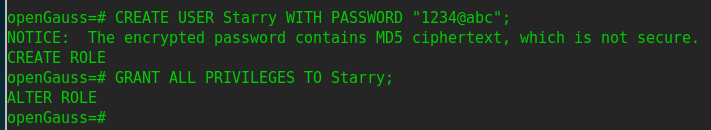 opengauss数据库配置及使用 | Starry的小屋